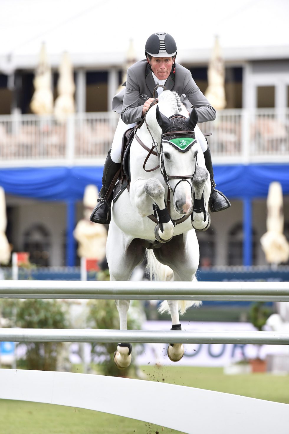 COLESTUS - Béligneux le haras